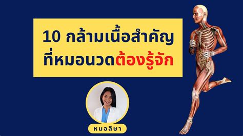 10 กล้ามเนื้อสำคัญ ที่หมอนวดต้องรู้จัก By Lisa Medical Massage