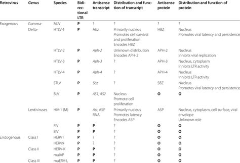 Antisense Transcription Activity In Endogenous And Exogenous