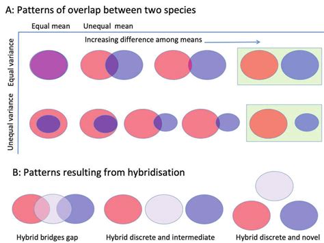 patterns of morphological variation among two species showing patterns