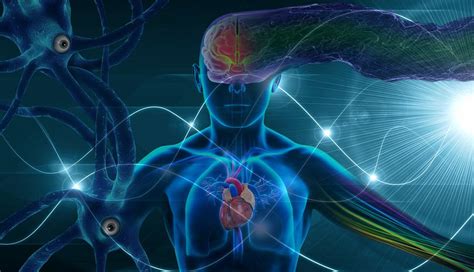 200 free robot brain and brain images pixabay