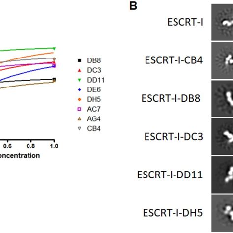 Yifan Cheng Associate Professor Phd University Of California San Francisco Ca Ucsf Yifan Cheng Associate Professor Phd University Of California San Francisco Ca Ucsf