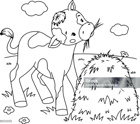 건초 색칠 공부 페이지 흰색 배경에 고립 된 벡터 그림 색칠 또는 아이들을위한 활동 책을위한 템플릿 초원의 송아지 0명에 대한