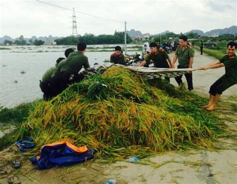 Công An Ninh Bình Lội Chân đất Giúp Dân Gặt Lúa Cộng đồng Mạng Znewsvn