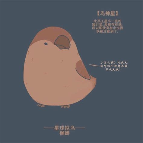 鸟神星拟鸟