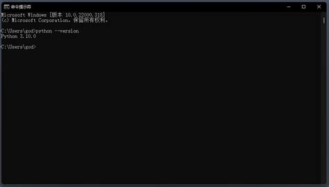 Python 安装 Python 项目工程化开发指南