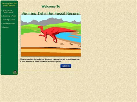 Ucmp Explorations Through Time Getting Into The Fossil Record