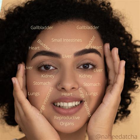 Lets Talk About Facial Acupuncture And Tcm Thrive Massage Therapy