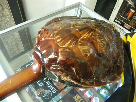 Turtle Shell Small Guitar Able Auctions