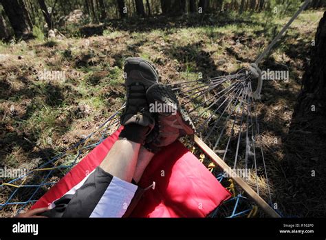Man Relaxing In The Hammock Stock Photo Alamy
