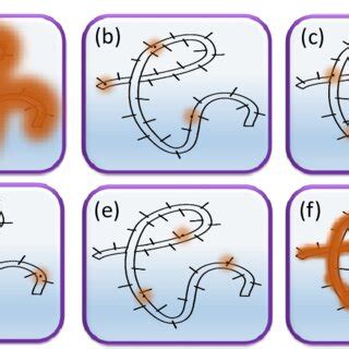 The Principle Of Localization Based Super Resolution Microscopy A