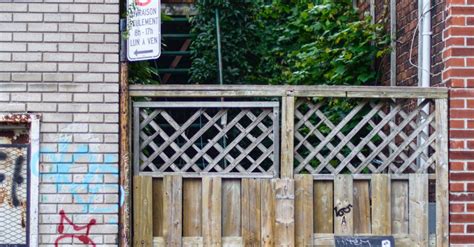 간판 거리 예술 건물 건축 골목 그래피티 나무 나무 질감 낙서 벽 낮 시간 녹색 덩굴 녹지 덩굴 도시 도시 경관 도시 설정 도시 성격 도시의