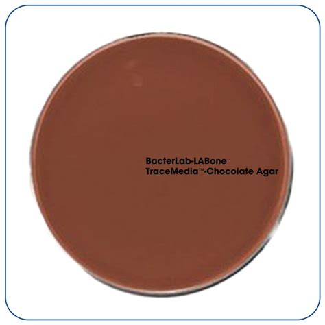 TraceMedia Chocolate Agar Bacterlab