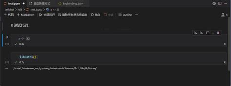 133 R工具指南24 Vscode在ipynb中使用r远程开发 腾讯云开发者社区 腾讯云