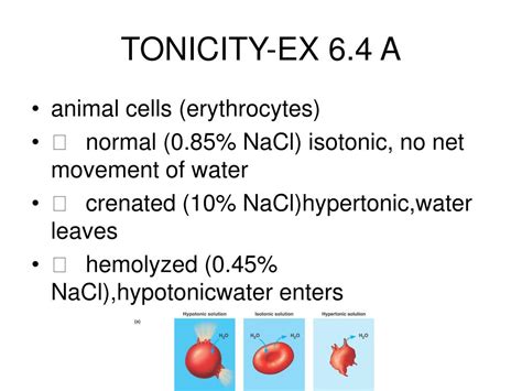 PPT Diffusion Osmosis PowerPoint Presentation Free Download ID 6600704