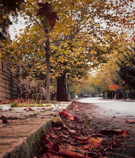 Lbci Tv On Twitter صباح الخير من صوفر لبنان تصوير فضل رستم