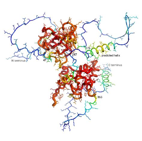 Alphafold Prediction For Sars Cov 2 Nucleocapsid High Plddt In Red