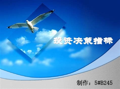 投资决策指标word文档免费下载文档大全