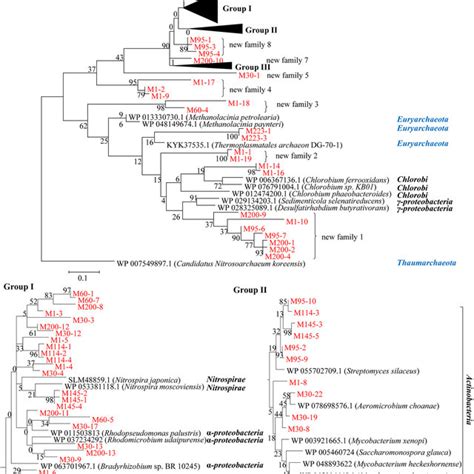 Characterization Of The Arsm Proteins Identified From Microbial Download Scientific Diagram