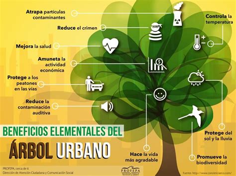 Profepa On Twitter Salud Y Medio Ambiente Conservacion Del Ambiente