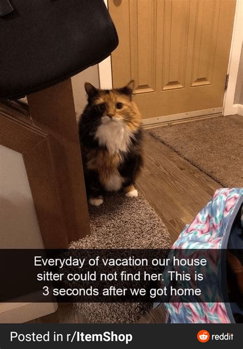 Humans Are Incredibly Shy And Prefer To Only Be Seen By Those They