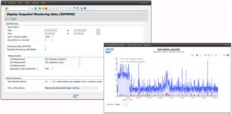 Display Snapshot Monitoring Data