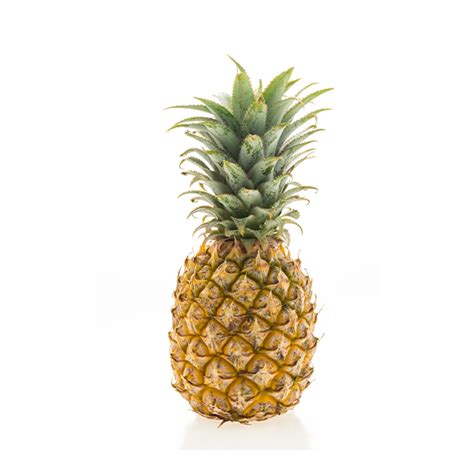 Tropicals Foremost Fresh Direct