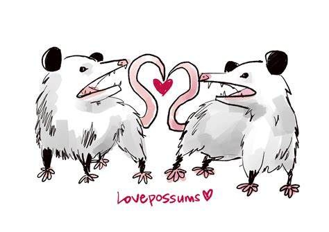 Awesome Possum Twosome