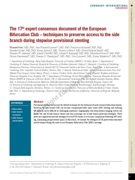 The 17th Expert Consensus Document Of The European Bifurcation Club