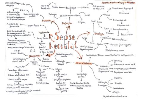 Sepse Neonatal Pdf