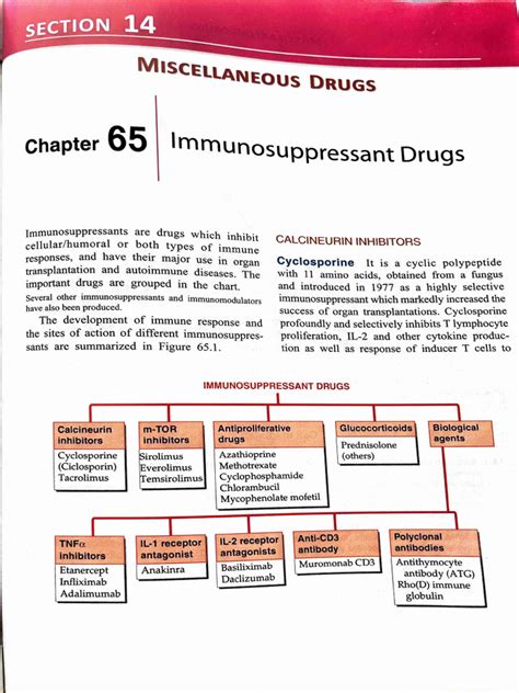 Immunosuppressant Drugs Pdf T Cell T Helper Cell