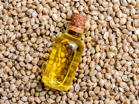 Refined Hemp Seed Oil 100% Pure 32 Oz Non GMO Cold Pressed - Etsy
