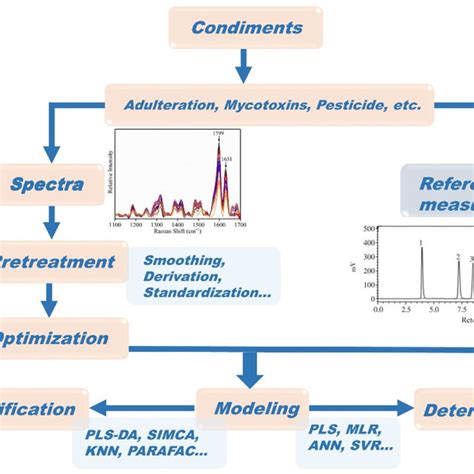 Illustration Of Hyperspectral Imaging Process In Condiment Detection