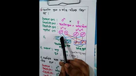 Sex Linked Disorder YouTube