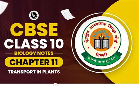 CBSE Class 11 Biology Notes Chapter 11 Transport In Plants