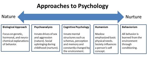 Nature Vs Nurture In Personality Practical Psychology