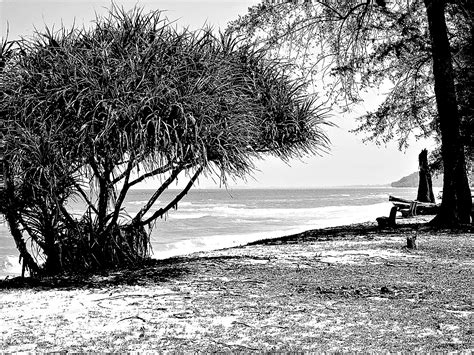 Olympus Workspace Editing B W Jpeg Images Imagingpixel