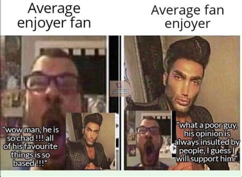 Wholesome 100 Average Fan Vs Average Enjoyer Know Your Meme