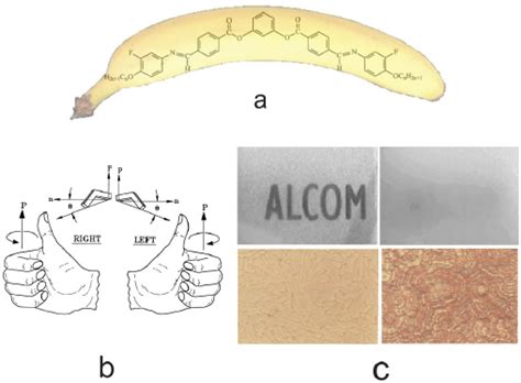 A Typical Banana Shaped Molecule B Formation Of Chiral Tilted Download Scientific Diagram