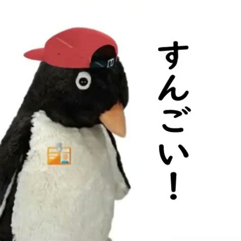 La Casa De Empeño ~ Se Fuerte Patricio Japonéssub Español Youtube
