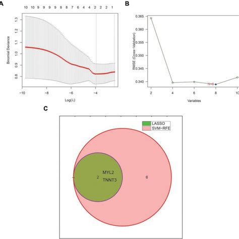 Profile And Visualization Of Immune Cell Infiltration A The