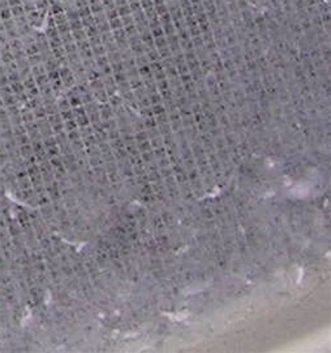 Lint Material Alchetron The Free Social Encyclopedia