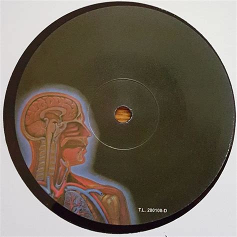 Reviewsdelrockymetal Tool Lateralus Volcano Tool Dissectional 2001