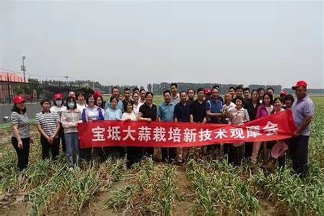 产学研协同共谋宝坻大蒜产业振兴 学会党建 天津市科学技术协会