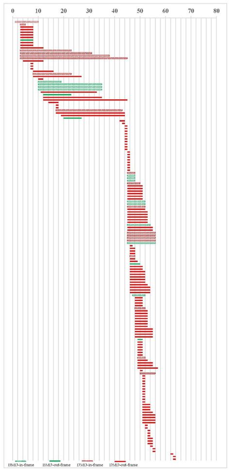 Deletion And Duplication Location In 169 Cases Download Scientific Diagram