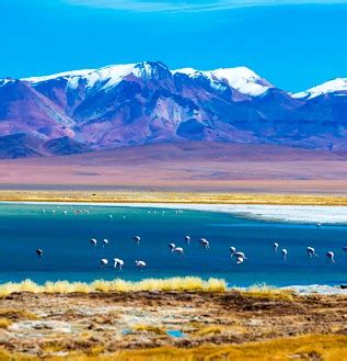 Pacote Deserto Do Atacama No Carnaval Top Brasil Turismo