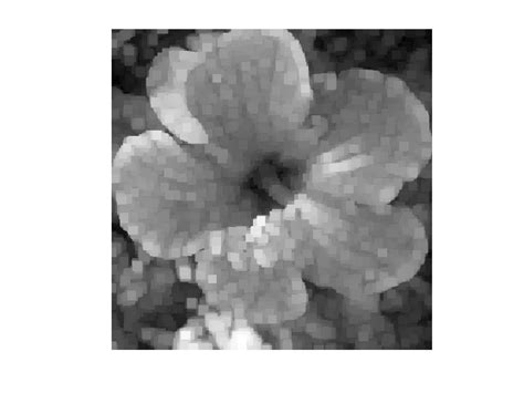 Exercice 2 Check The Solution Compute A Closing Followed By An Opening