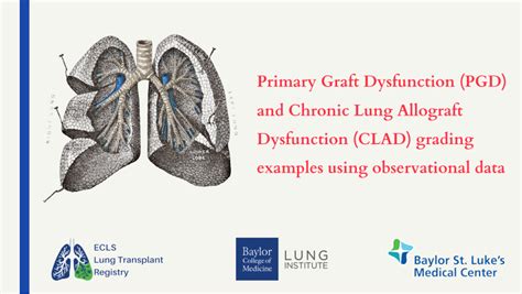 Pdf Primary Graft Dysfunction Pgd And Chronic Lung Allograft