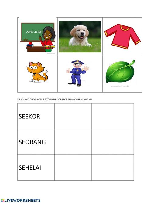 Classifiers Worksheet Live Worksheets