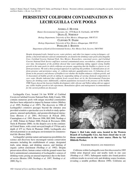 Pdf Persistent Coliform Contamination In Lechuguilla Cave Pools