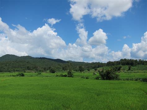 Religion Sex And Politics A Hint Of Paradise In Phayao